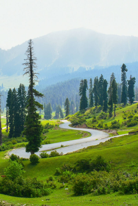 Day Trek from Srinagar to Doodhpathri & Diskhal Meadow | Kashmir Treks