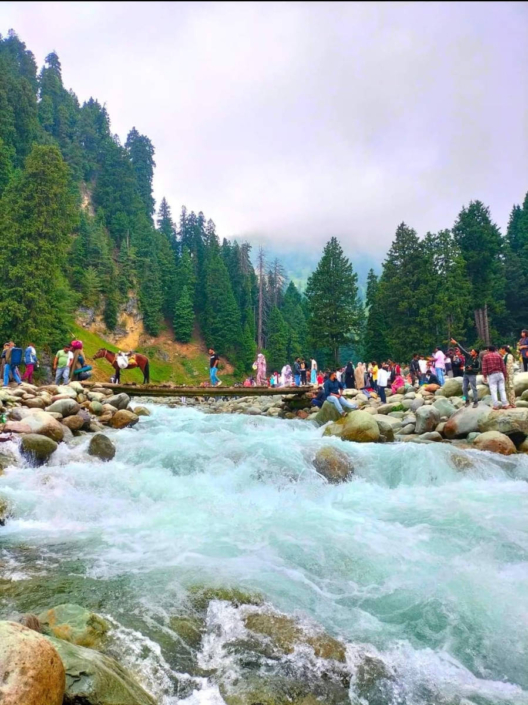 Doodhpathri-Dishkal Day Trek from Srinagar – Kashmir Treks