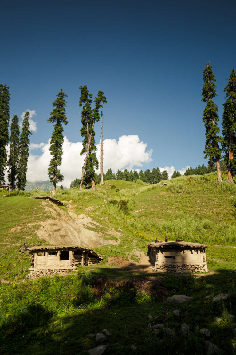 Nafran Valley Trek – 7 Days Adventure in Kashmir’s Alpine Meadows