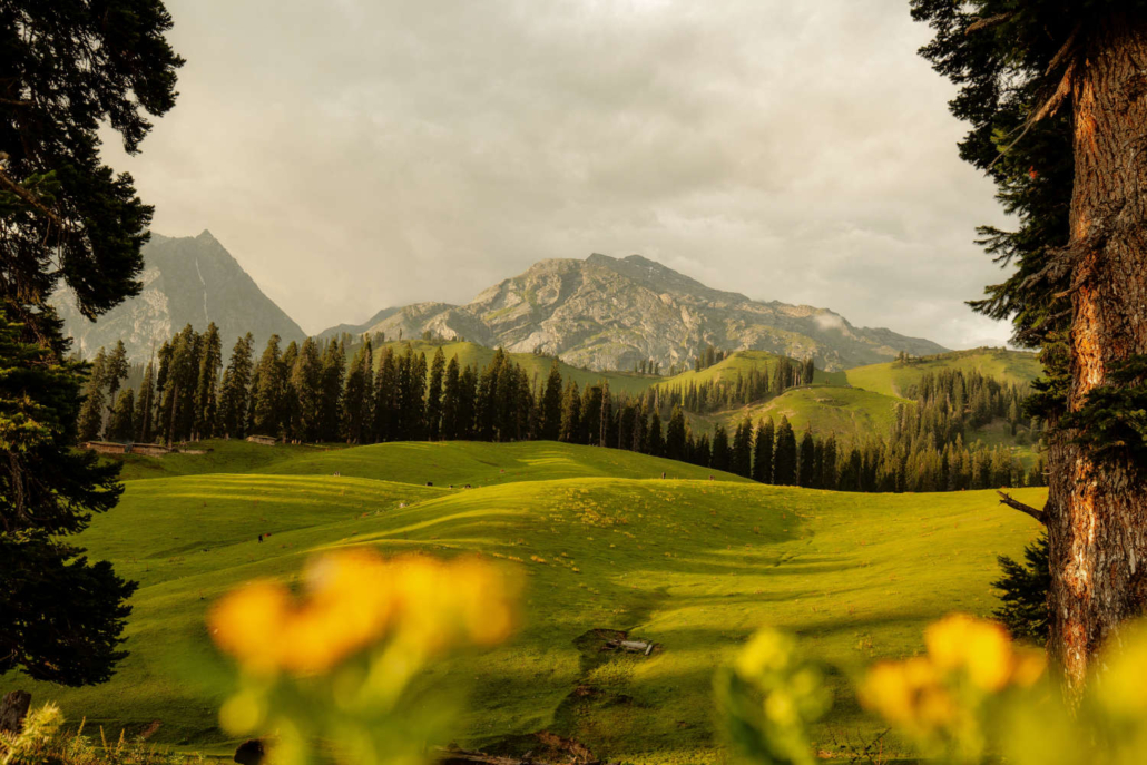Nafran Valley Trek – 7 Days Adventure in Kashmir’s Alpine Meadows
